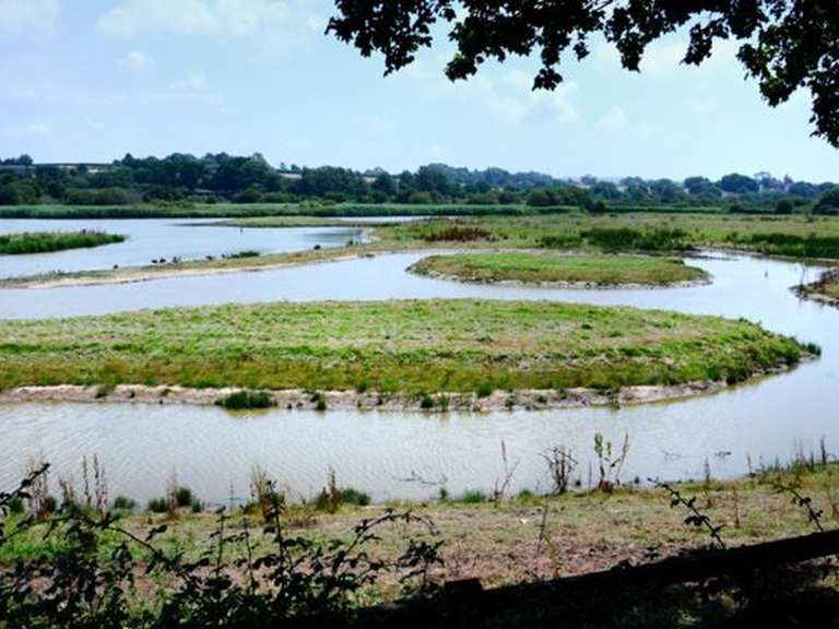 The Exe Estuary trail loop from Exeter to Exmouth | ride | Komoot