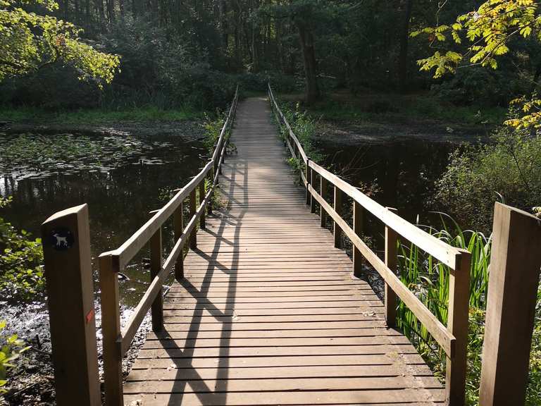 Floating bridge - Gallows wheel Routes for Walking and Hiking | Komoot