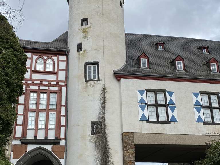 Schloss von der Leyen - Cycle Routes and Map | Komoot