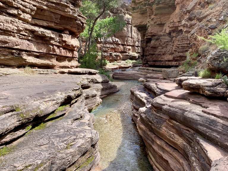 Deer Creek Trail via the Colorado River | wandeling | Komoot