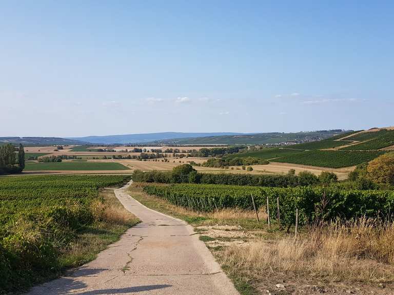 Beautiful landscape between Partenheim and Saulheim - Road Cycle Routes ...