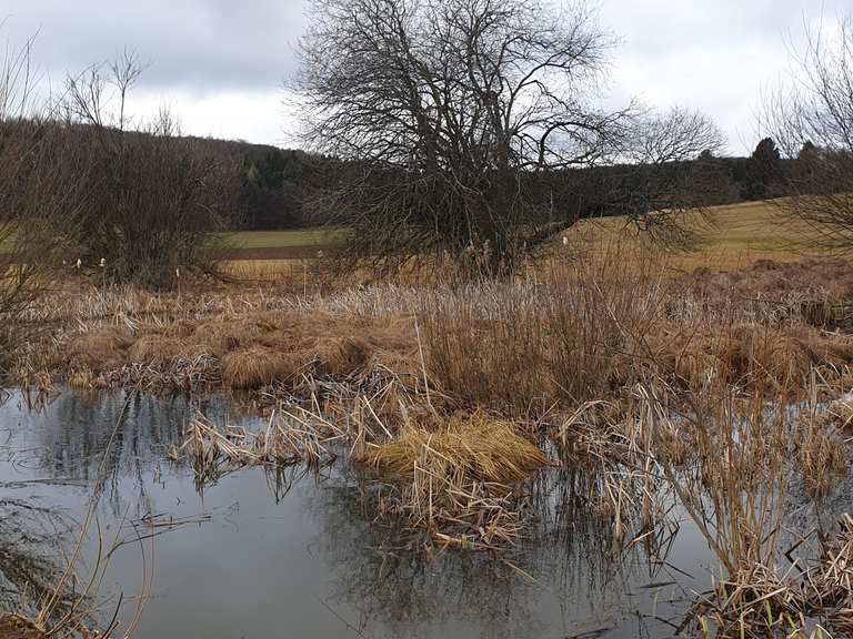 Schopflocher Moor - wandelroutes en hikes | Komoot