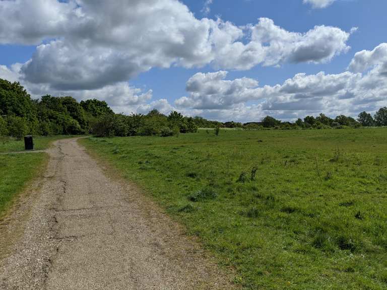 Epping Forest loop from Hackney Wick | ride | Komoot