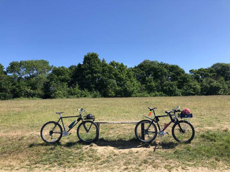 Riddlesdown Common: Mountainbike-Touren und -Trails | komoot