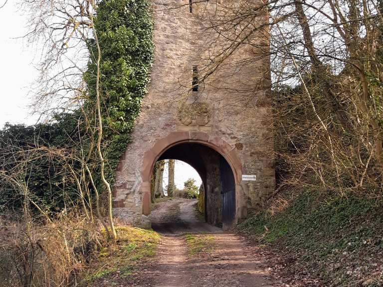 Burg Neidenstein: Mountainbike-Touren und -Trails | komoot