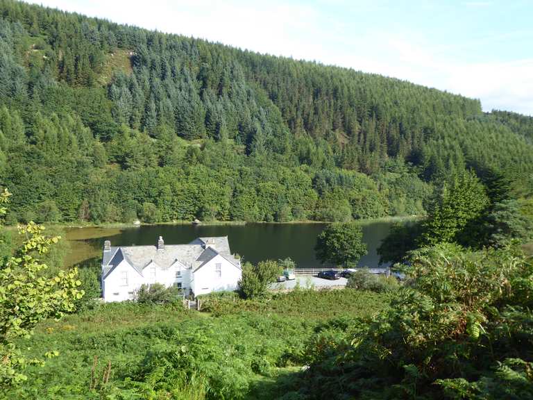 Tal-y-Llyn or Llyn Mwyngil & Cregennan Lakes loop from Dolgellau ...