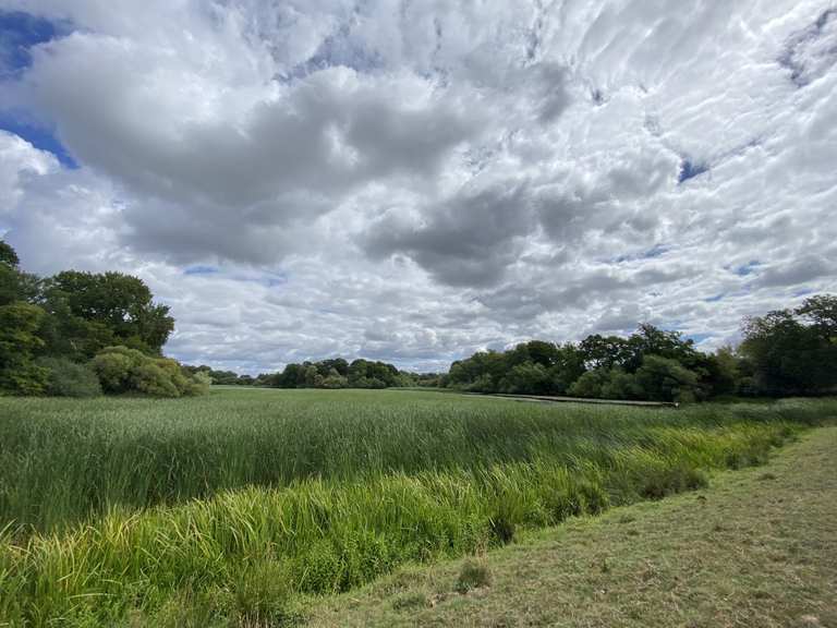 Knepp Estate Lake Routes for Walking and Hiking | Komoot