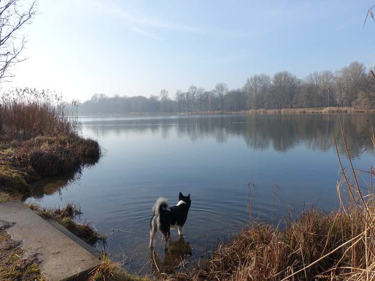 Baggersee Ingolstadt - Itinéraires de rando et marche | Komoot
