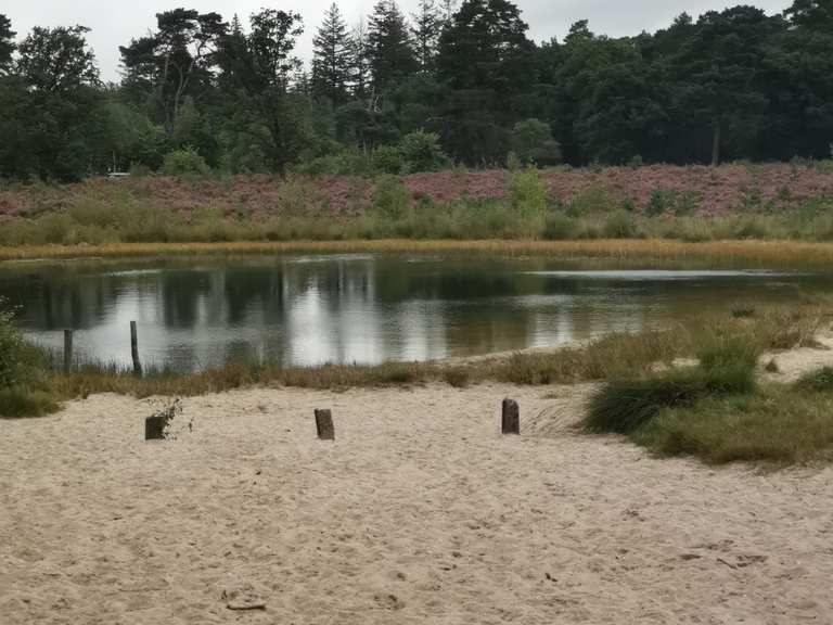 Mooi uitzicht over meertje wandelroutes en hikes | Komoot