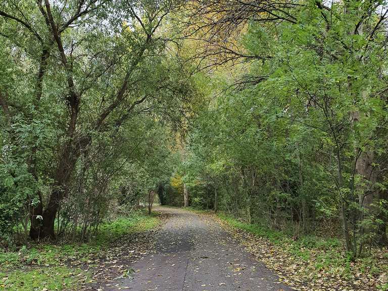 Hackney Marshes Cycle Routes and Map | Komoot