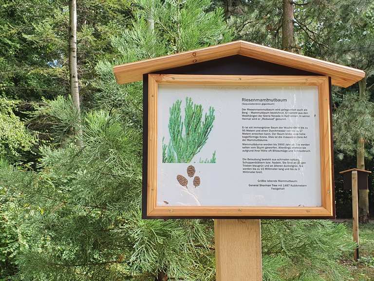Sentiero naturalistico della Foresta di Mecklenheide : percorsi ...