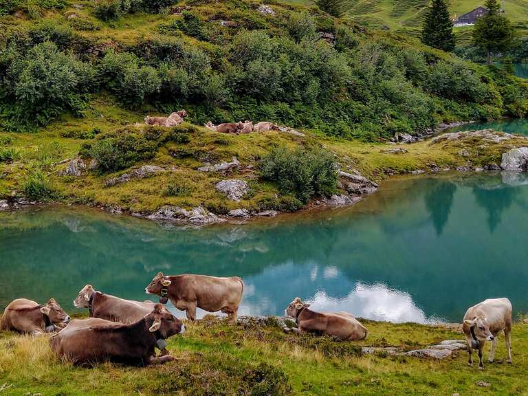 Trübsee – Hiking & Cycling Routes | Komoot