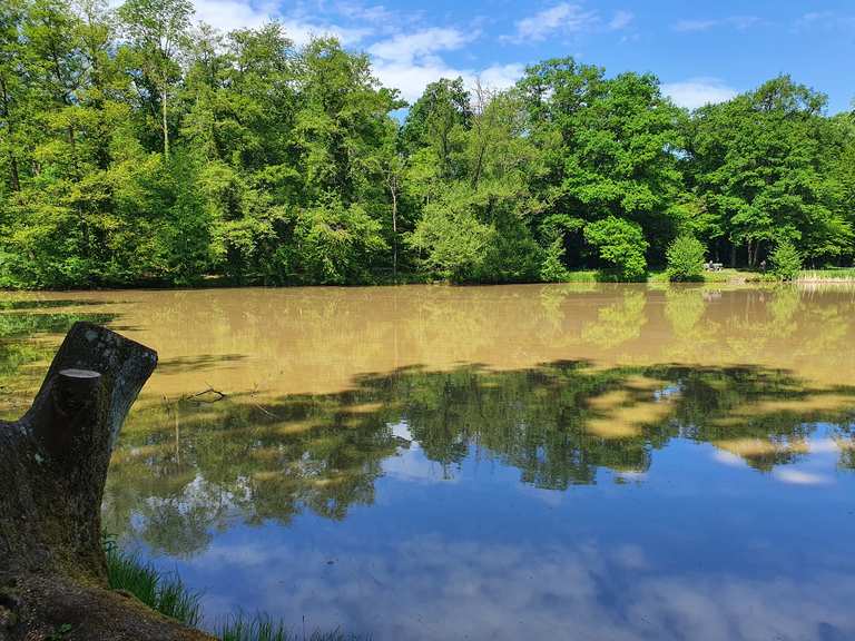 Annasee: Wanderungen und Rundwege | komoot