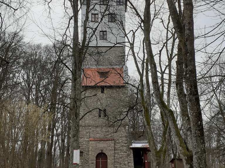 Moritzberg : Radtouren und Radwege | komoot