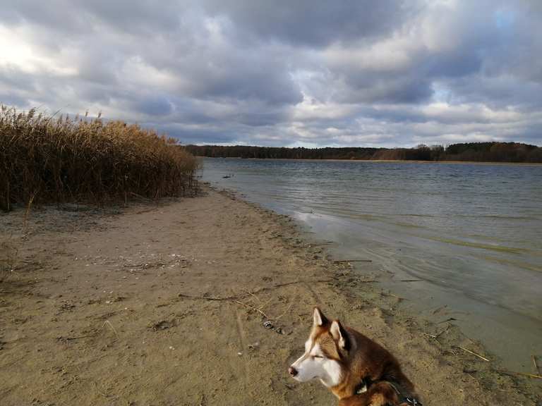 Kleiner Seddiner See – Großer Seddiner See Loop from Seddin | hike | Komoot