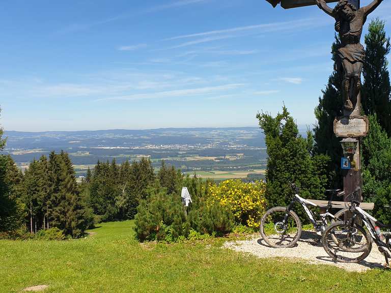 Hongar: Mountainbike-Touren und -Trails | komoot