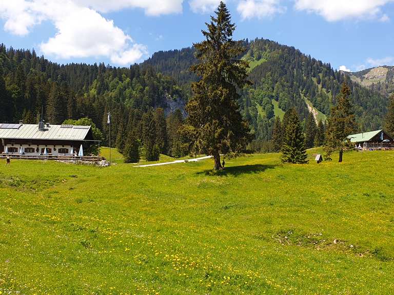 Schwarzentennalm : Radtouren und Radwege | komoot