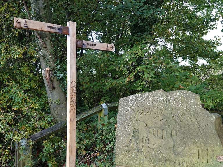 Allensford Park – Allensford Wood loop from Castleside | Wanderung | Komoot