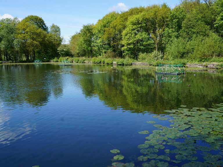 Eccup Reservoir and Breary Marsh Nature Reserve loop from Golden Acre ...