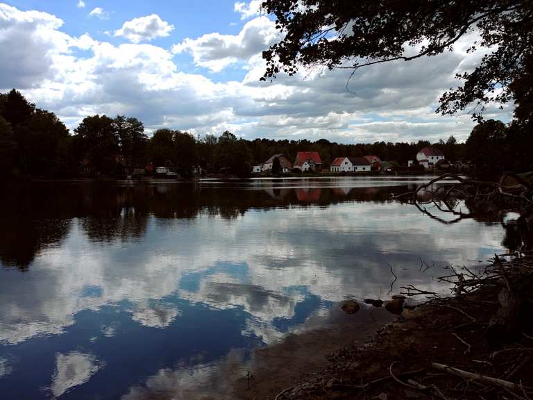 Kleiner Seddiner See Routes for Walking and Hiking | Komoot