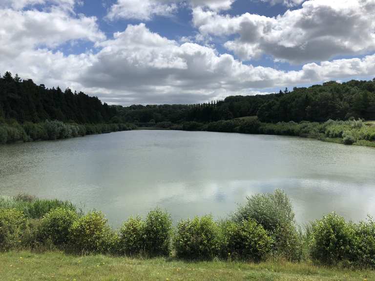 Lineover Wood & Dowdeswell Reservoir loop — The Cotswolds | hike | Komoot