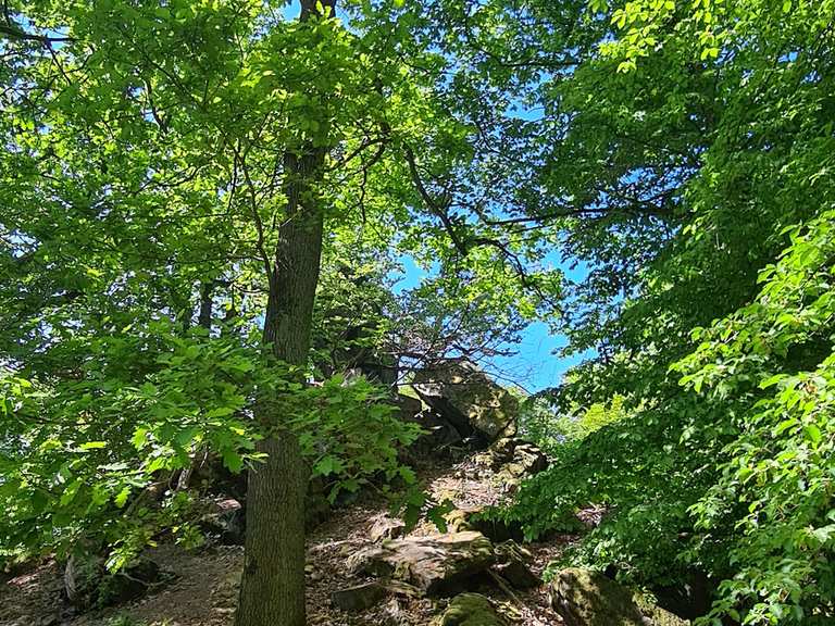 Dachsbau wandelroutes en hikes | Komoot