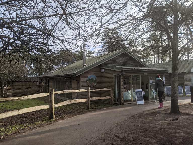 The Ridge Cafe, Haldon Forest - Mountain Bike Trails & Tracks | Komoot