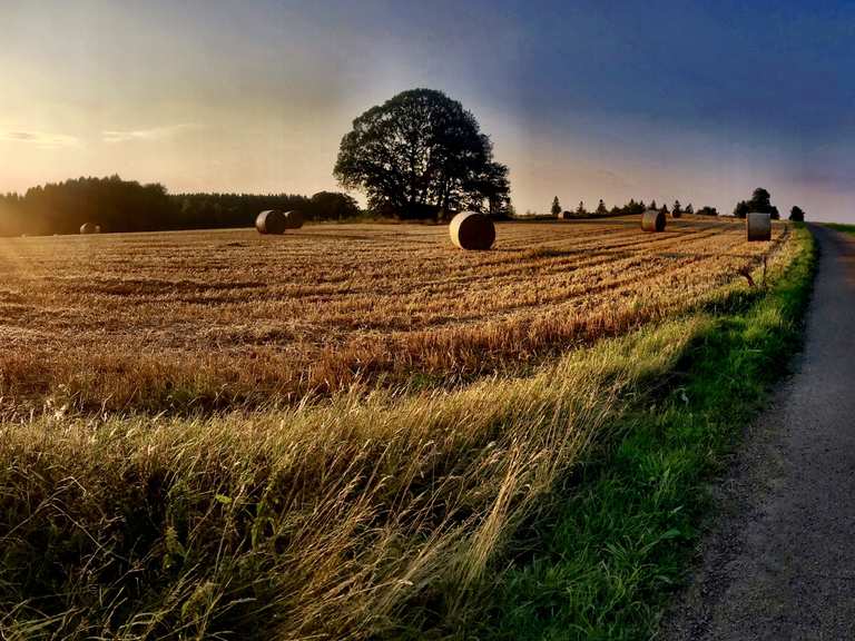Kneiff – Hoogste punt van Luxemburg (560 m) wandelroutes en hikes | Komoot