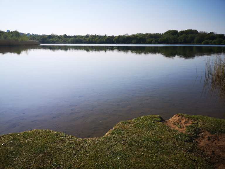 Swan Pool, Sandwell Valley Country Park - Cycle Routes and Map | Komoot