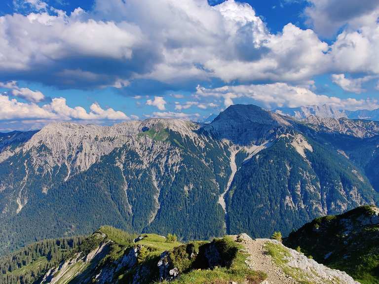 Scheinbergspitze: Wanderungen und Rundwege | komoot