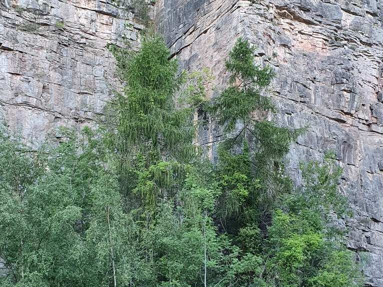 Llanymynech Rocks Nature Reserve: Wanderungen und Rundwege | komoot