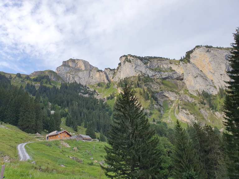 Alp Rohr: Mountainbike-Touren und -Trails | komoot