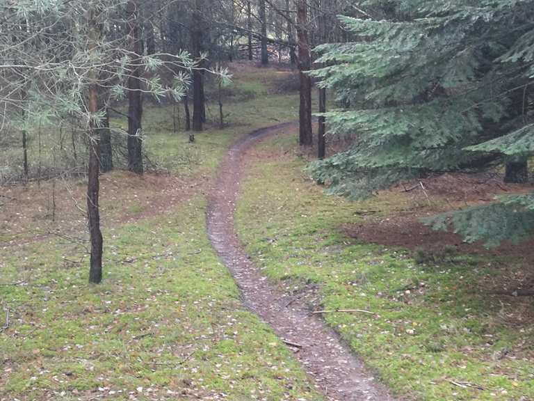 Single track red trail – The beast and other trails Loop from Bury St ...