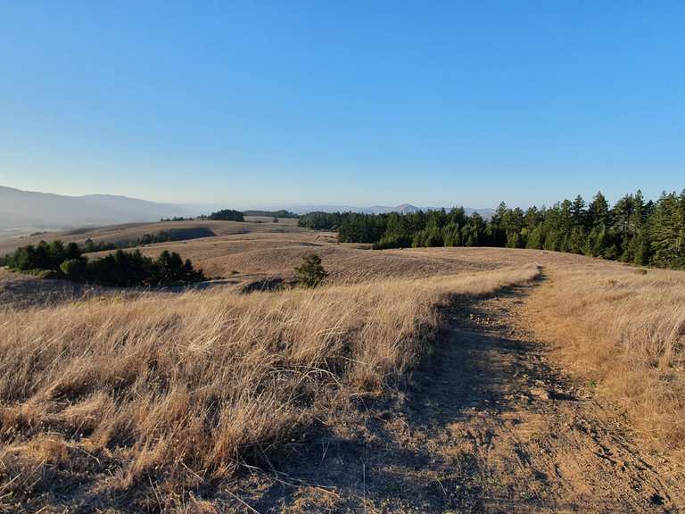 Bolinas Ridge Trail 🚵 Mountain Bike Trails & Tracks | Komoot