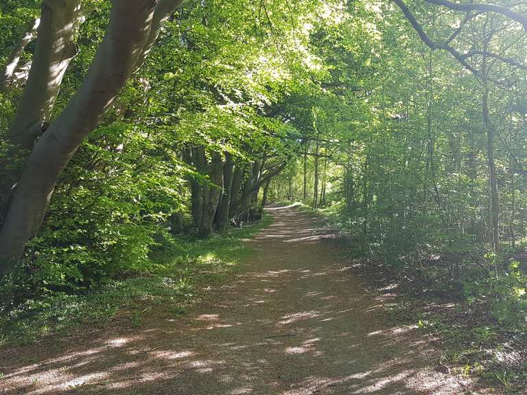 Icknield Way Trail, Pegsdon Hills Cycle Routes and Map | Komoot