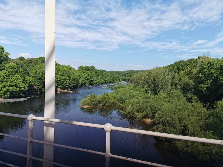 Hagg Bank Bridge (Wylam Bridge) - Cycle Routes and Map | Komoot