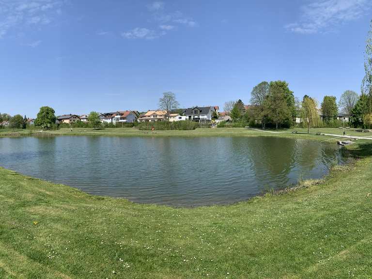 Elsenz See: Mountainbike-Touren und -Trails | komoot