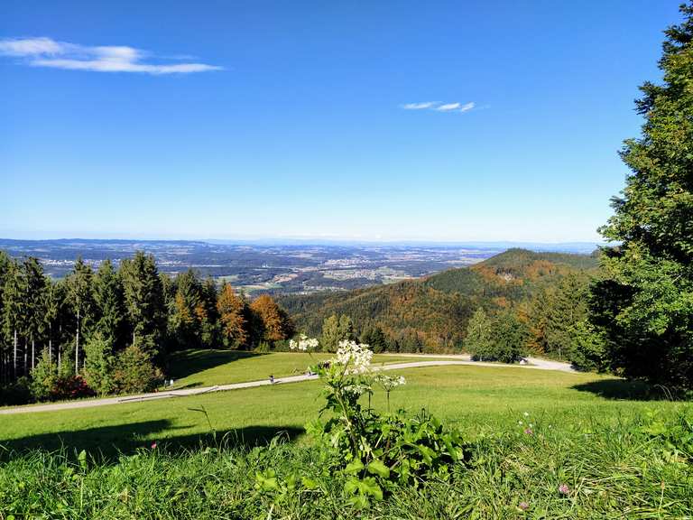 Hongar: Mountainbike-Touren und -Trails | komoot