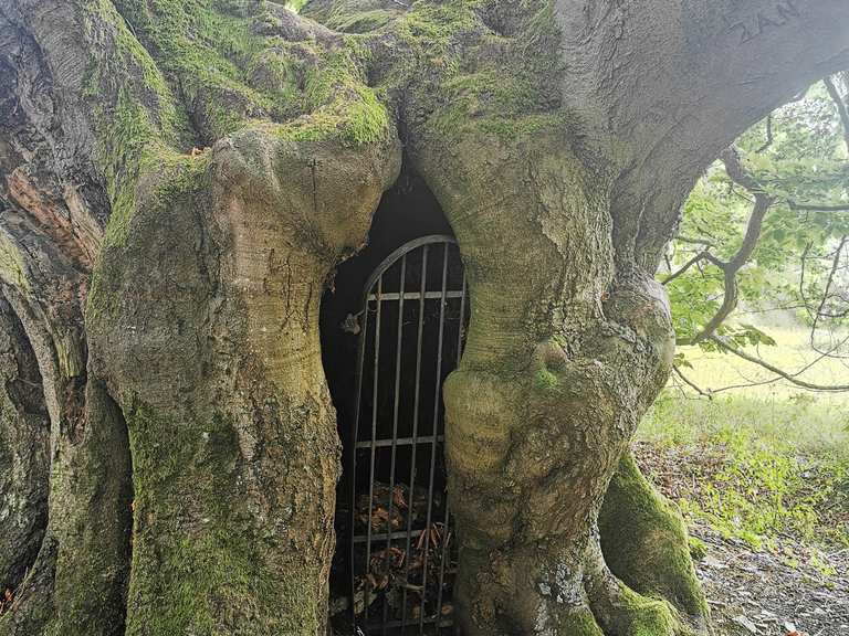 Faggio del pastore : percorsi escursionistici e trekking | Komoot