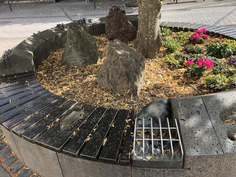 Mausefallenmuseum, Neroth Routes for Walking and Hiking | Komoot