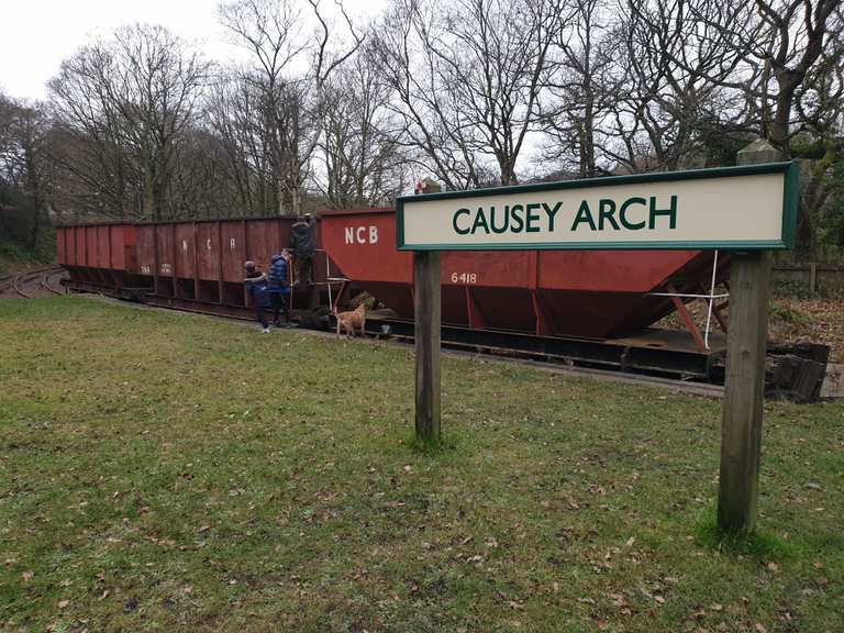 Causey Arch Routes for Walking and Hiking | Komoot