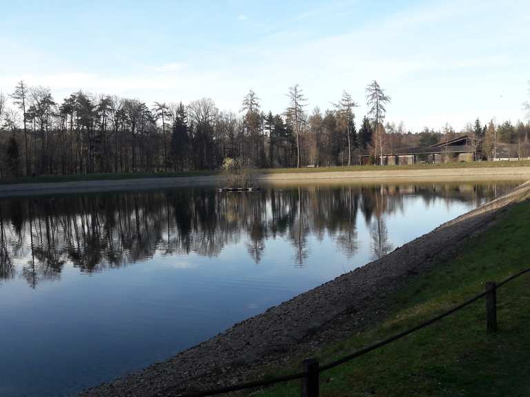 Engeweiher Routes for Walking and Hiking | Komoot