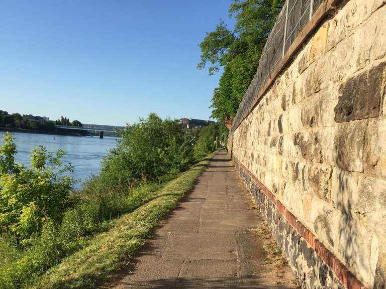 Rheinradweg : Radtouren und Radwege | komoot