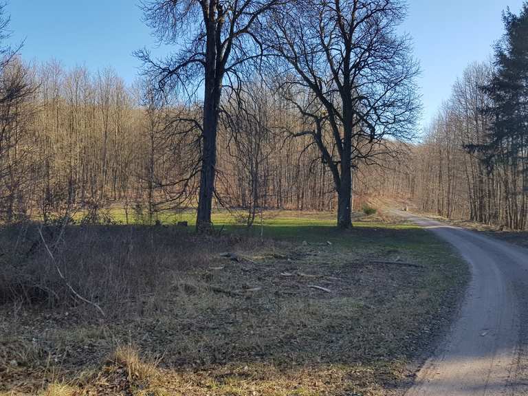 Trekkingplatz Rothenbuch 2: Wanderungen und Rundwege | komoot