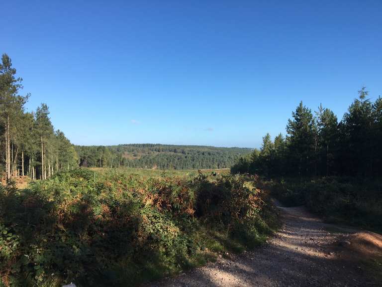 Cannock Chase Forest Trailhead - Mountain Bike Trails & Tracks | Komoot