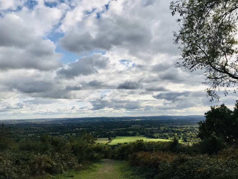 One Tree Hill Routes for Walking and Hiking | Komoot