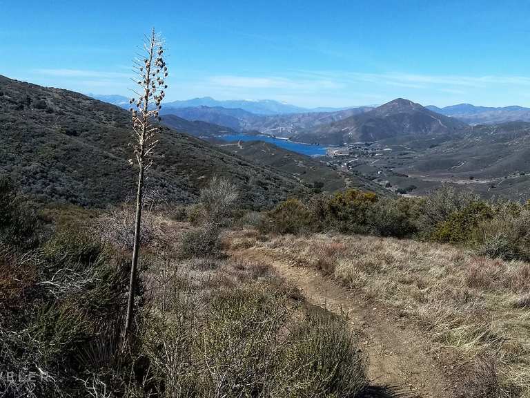 Pętla Bouquet Canyon przez PCT — Angeles National Forest | wycieczka ...