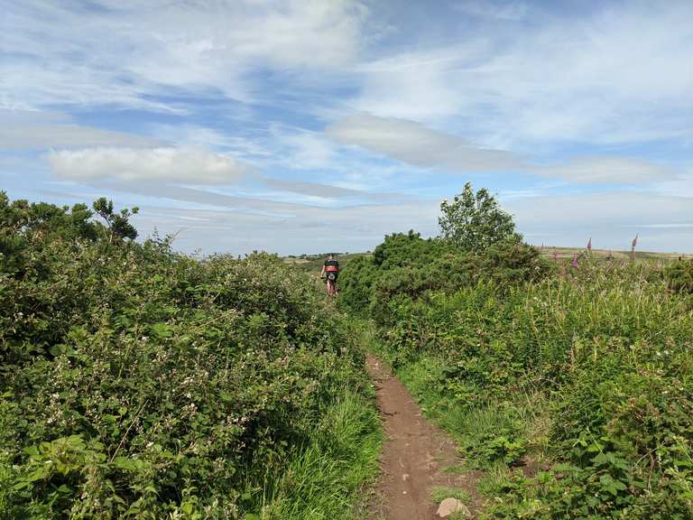Rowberrow Warren, Beacon Batch & Cheddar Gorge loop from Cheddar ...