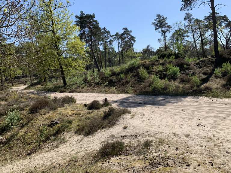 Soesterduinen - Cycle Routes and Map | Komoot