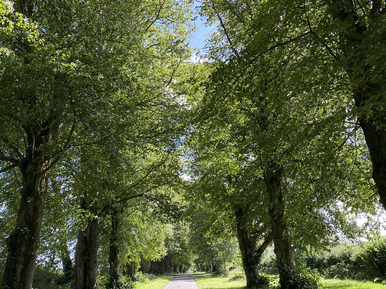 Minchinhampton Village – Fosse Way Roman Road loop from Burleigh ...